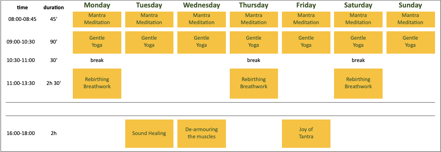 The Mind & Emotion spiritual retreat program at Shakti Yoga